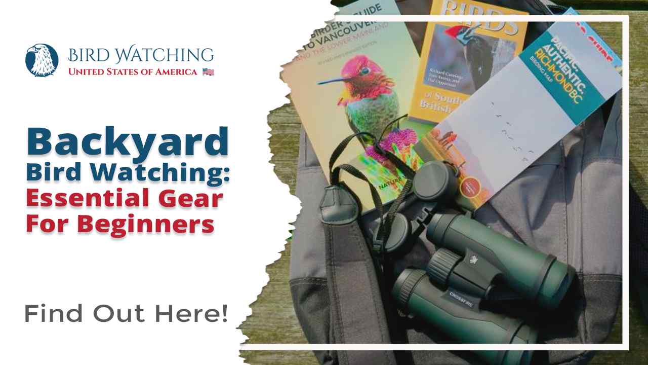 Backyard Bird Watching Essential Gear for Beginners - Fantastic ...