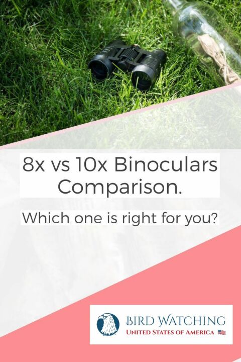 8x vs 10x Binoculars Comparison. Which one is right for you?