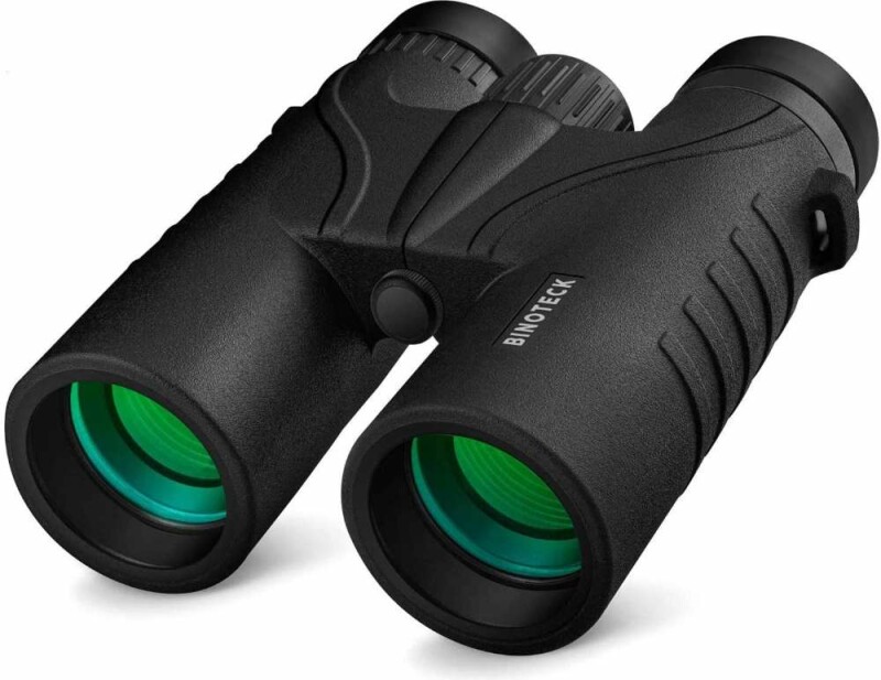 8x vs 10x Binoculars Comparison. Which one is right for you?