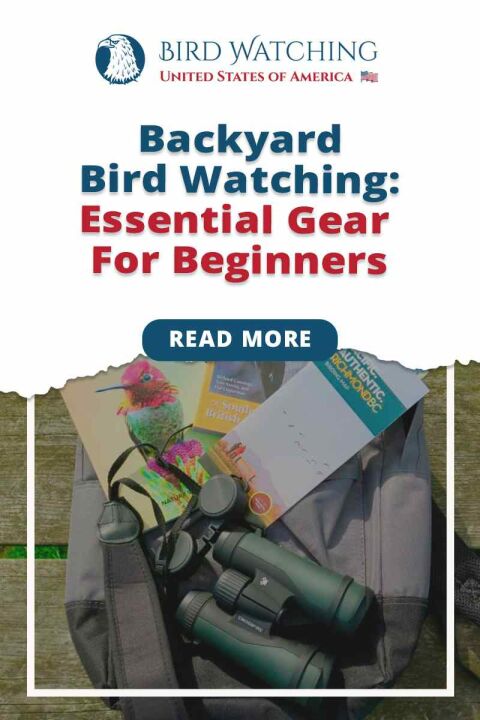 Backyard Bird Watching Essential Gear for Beginners - Fantastic ...