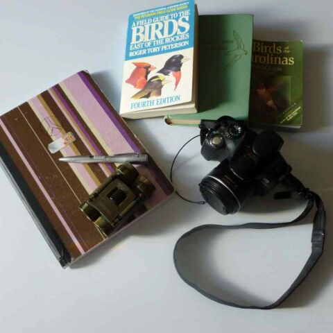 Backyard Bird Watching Essential Gear for Beginners - Fantastic ...