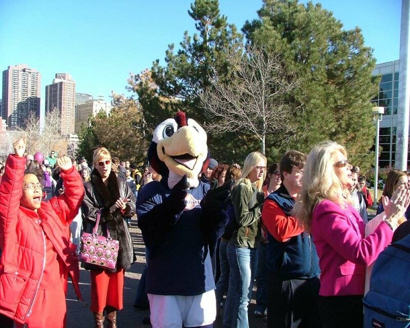 Top 24 Bird Mascots: Names, Colleges, NFL & More!