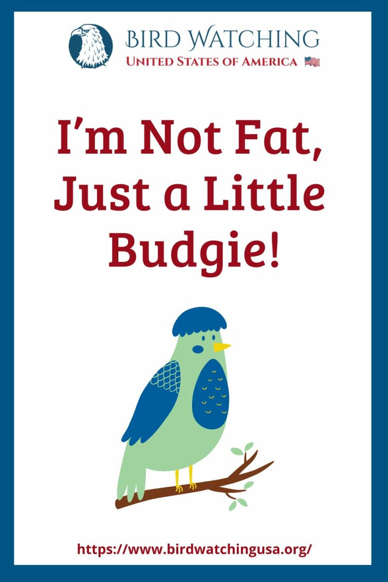 62 Funny Bird Puns & Pictures to Make You Smile!