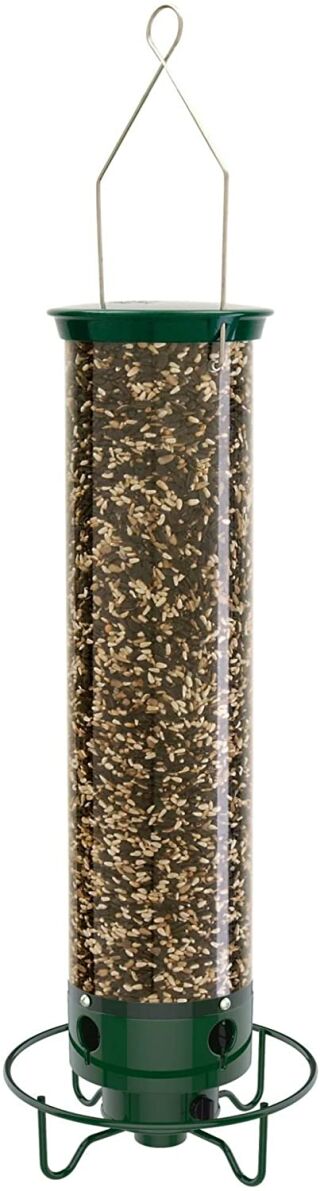 The Cute Bird that Sings "Cheeseburger". Link to Video!