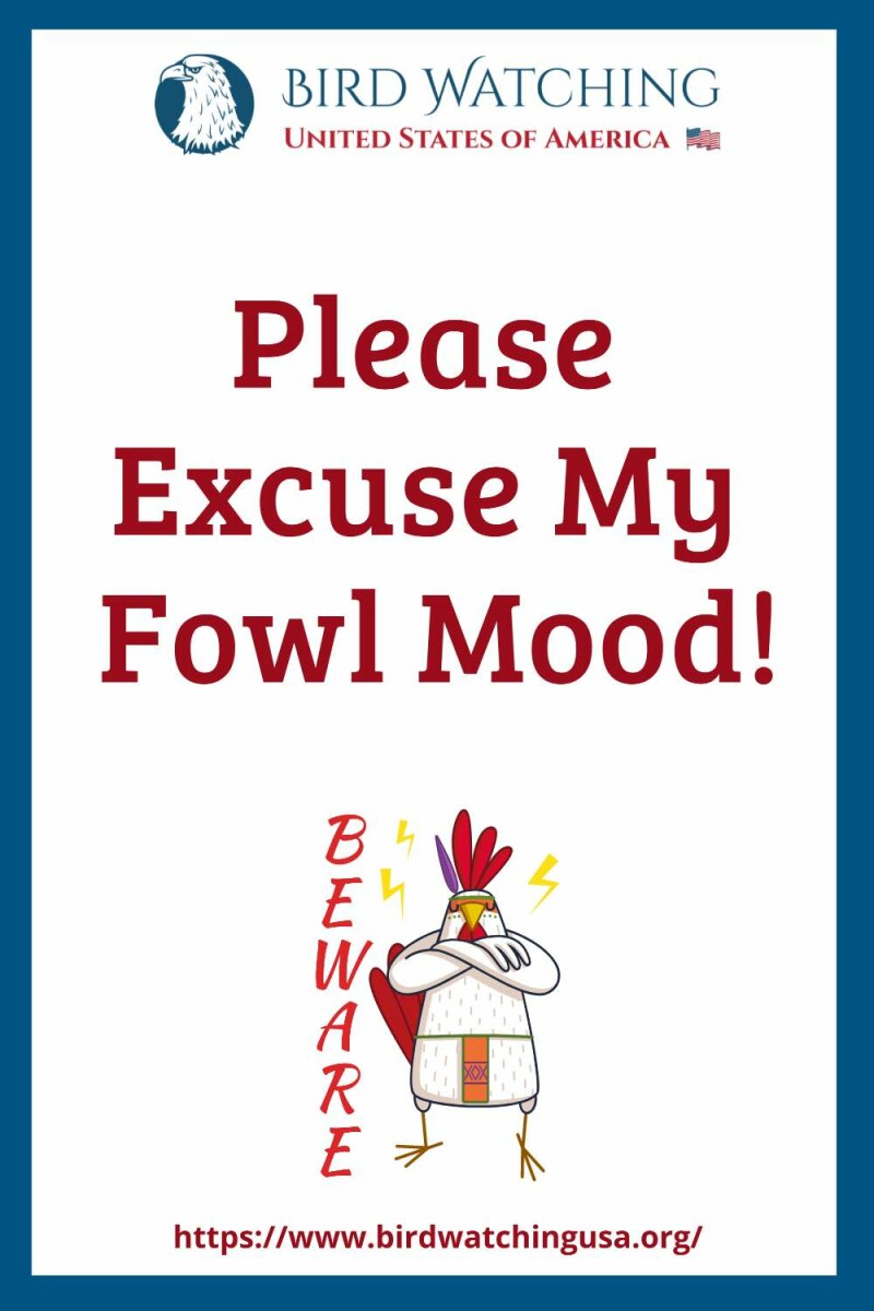 52 Funny Chicken Puns & Pictures to Make You Smile!