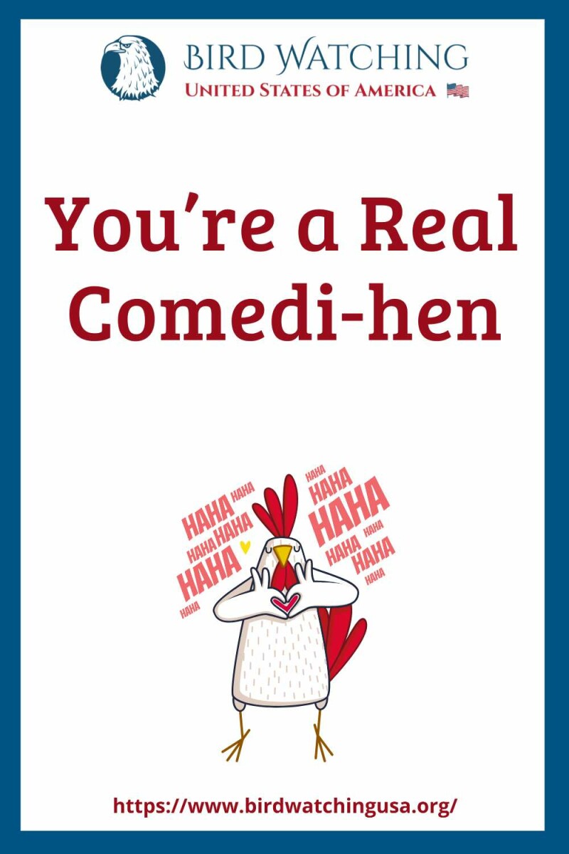 52 Funny Chicken Puns & Pictures to Make You Smile!