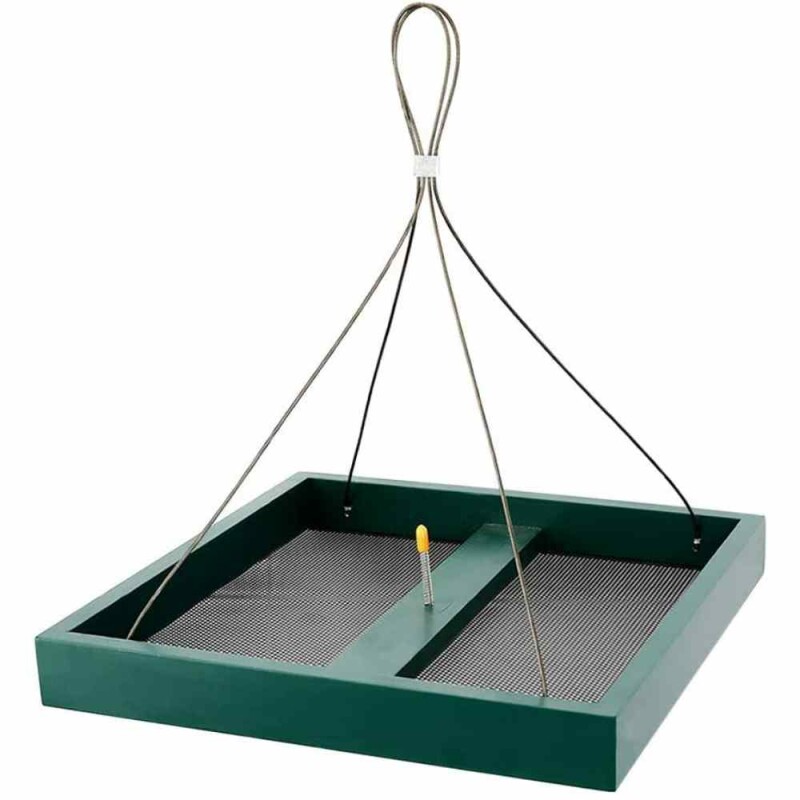 How to Choose the Right Kind of Bird Feeder: Types, Location, Size, etc.