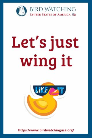 51 Funny Duck Puns & Pictures to Make You Smile!