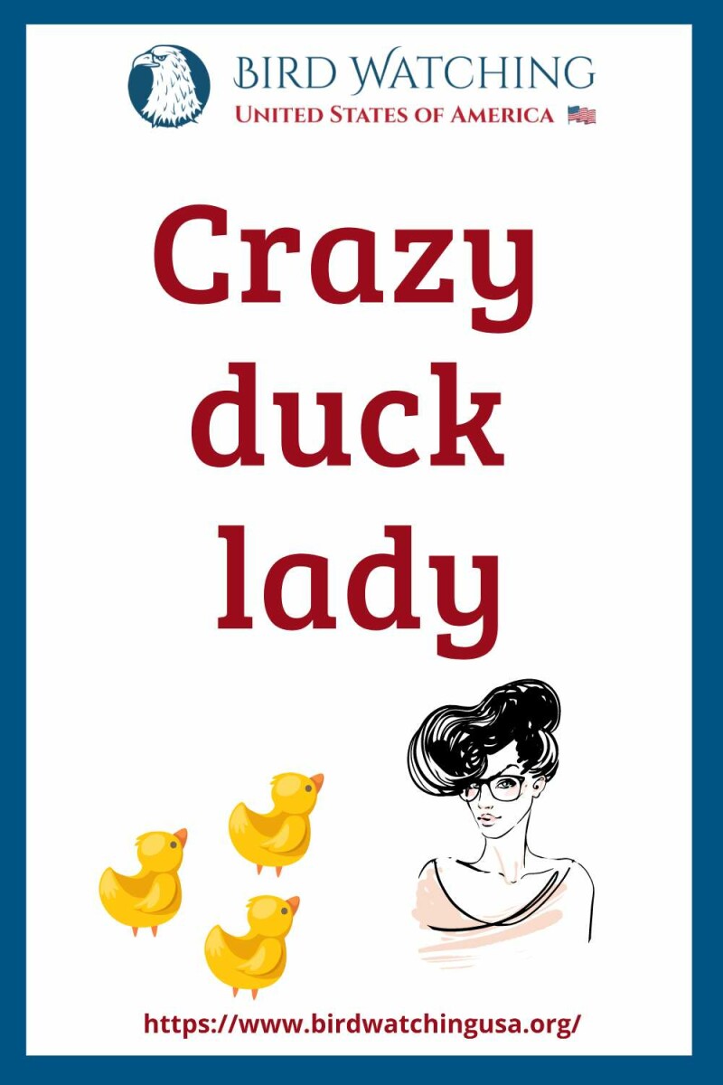 51 Funny Duck Puns & Pictures to Make You Smile!