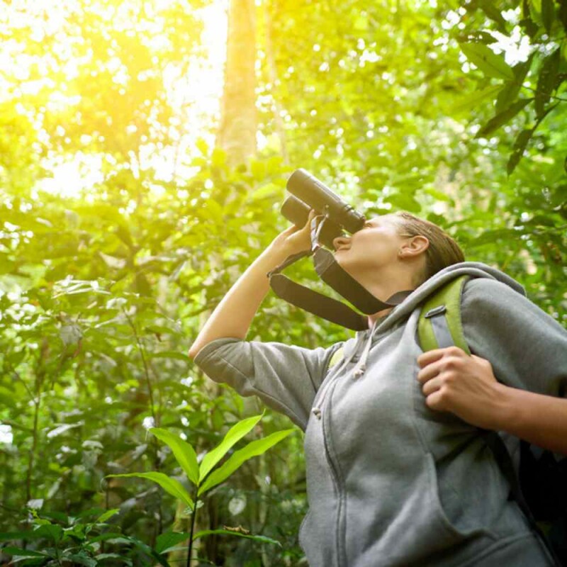 How to Start Bird Watching? A Fantastic Guide for An Enthralling ...